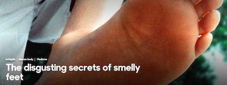 The disgusting (to some people) secrets of smelly (to most people) feet ...