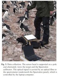 “What Colour is Penguin Guano?” [research study]