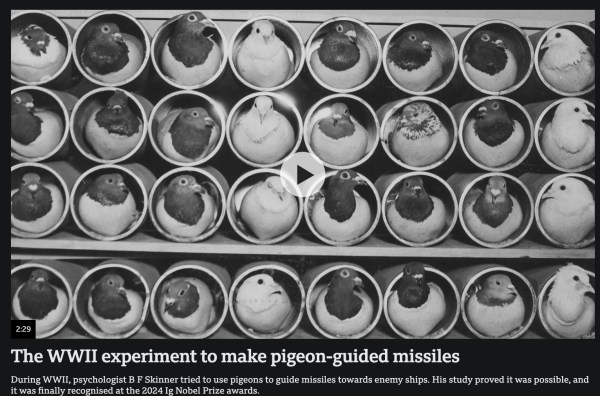 A Quick Video Look at the Pigeon-Guided Missile Research – Improbable ...