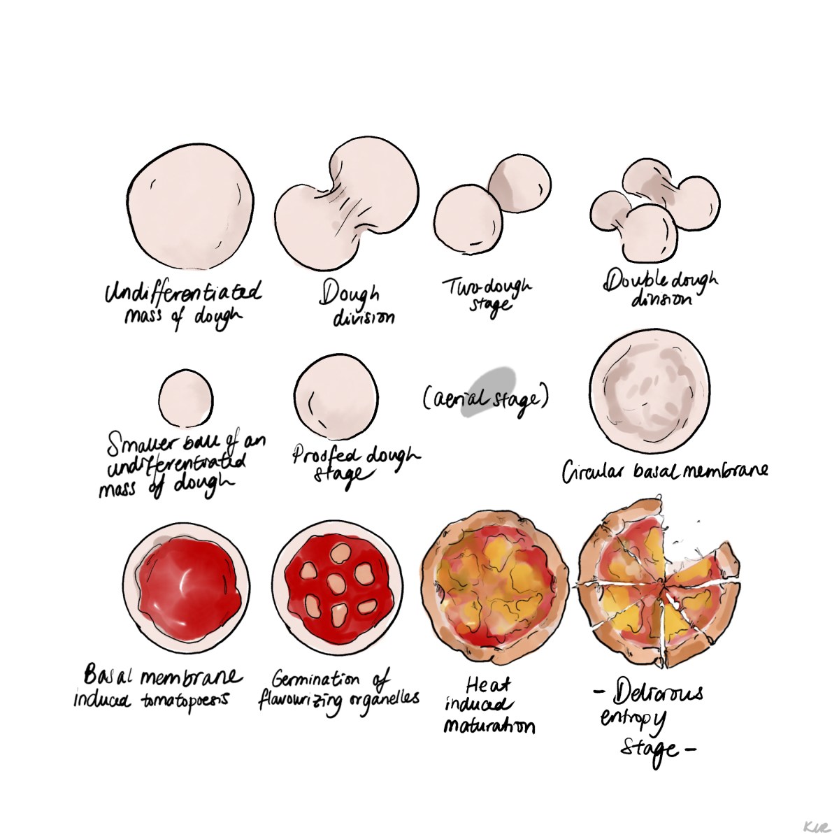 The Pizza Lifecycle – Improbable Research