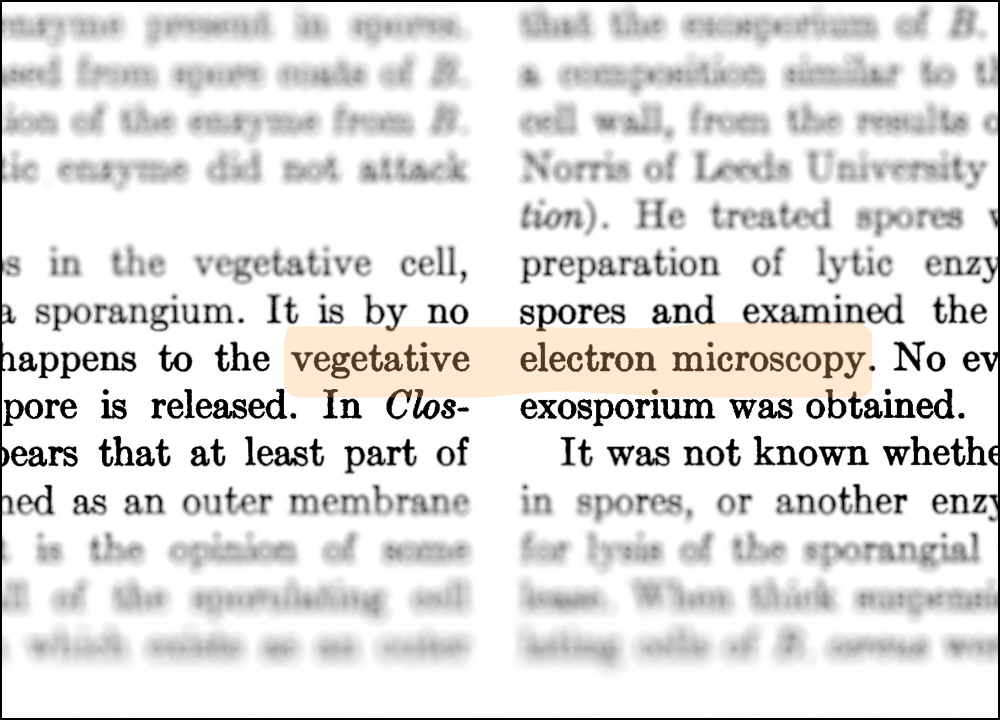 “Vegetative Electron Microscopy” – Improbable Research